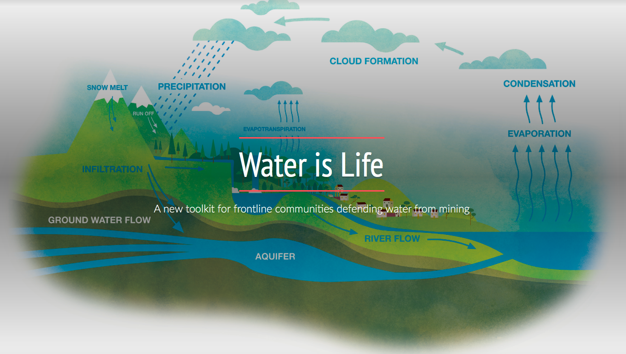 ‘Water is Life’ Toolkit- New online platform to support water defenders ...